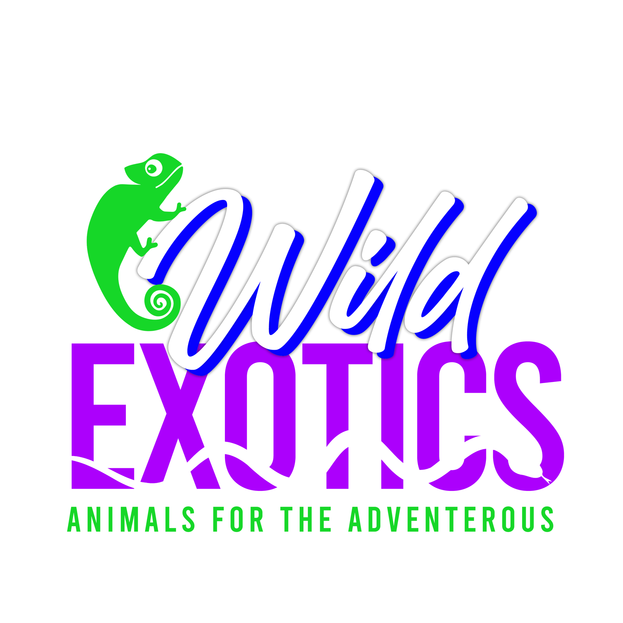 Exotic Reptiles and Mammals for Sale | Wild Exotics, LLC | Wild Exotics